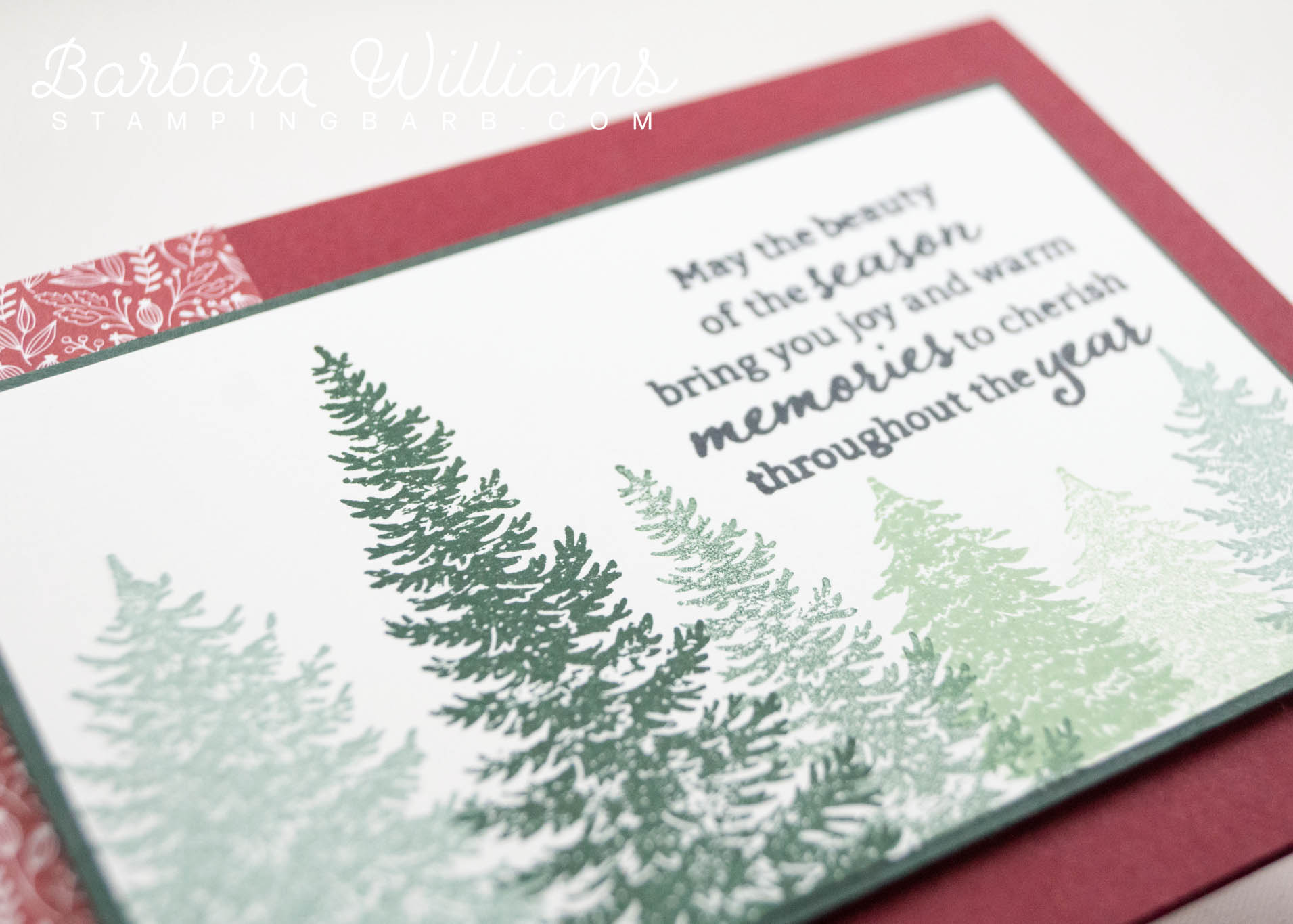 Evergreen elegance – Barbara Williams, Sydney Australia